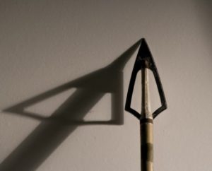 12 Best Broadheads – Ultra Sharp, High Penetration, and Silent Flight