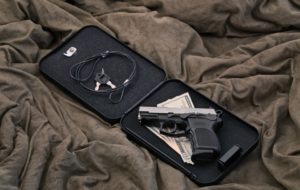 10 Best Gun Safes Under 500 [Professional & Budget Options]