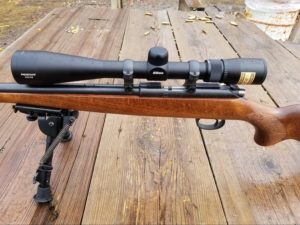 10 Best 22LR Scopes for Target Shooting [Quality + Affordable]