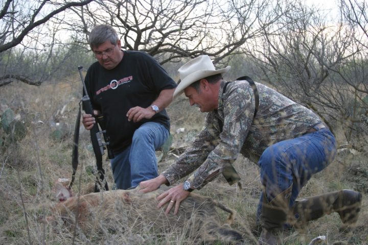 6 Best Scopes For Mini 14 Ranch Rifle (2024) [Tried & Tested]