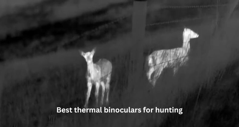 Best thermal binoculars for hunting: Reviewed in 2023