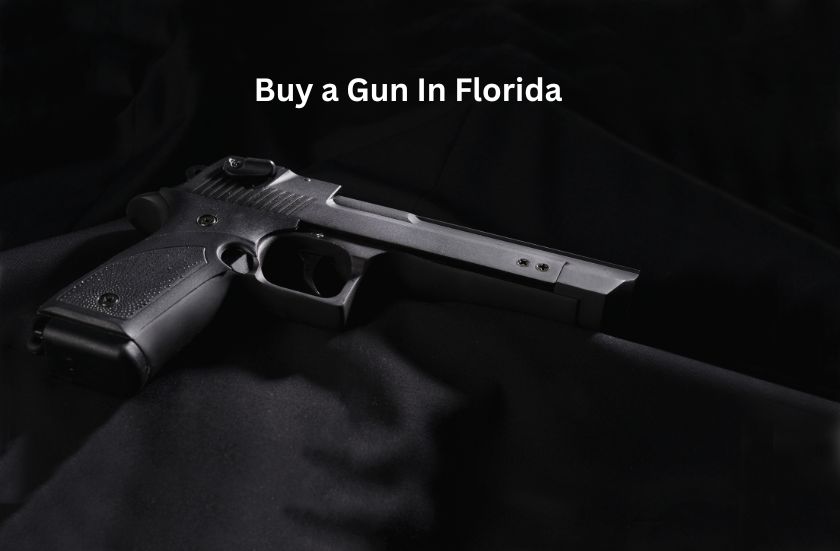How to Buy a Gun In Florida? [Rules & Laws, Where to Buy]