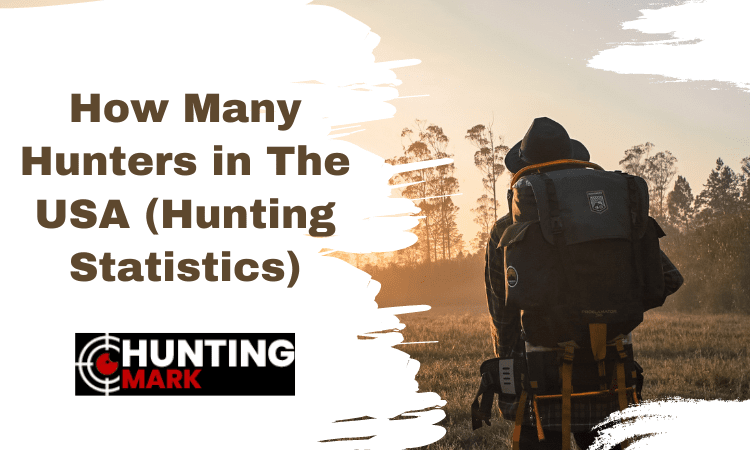 How Many Hunters In The US In 2023? (With Revenue Statistics)