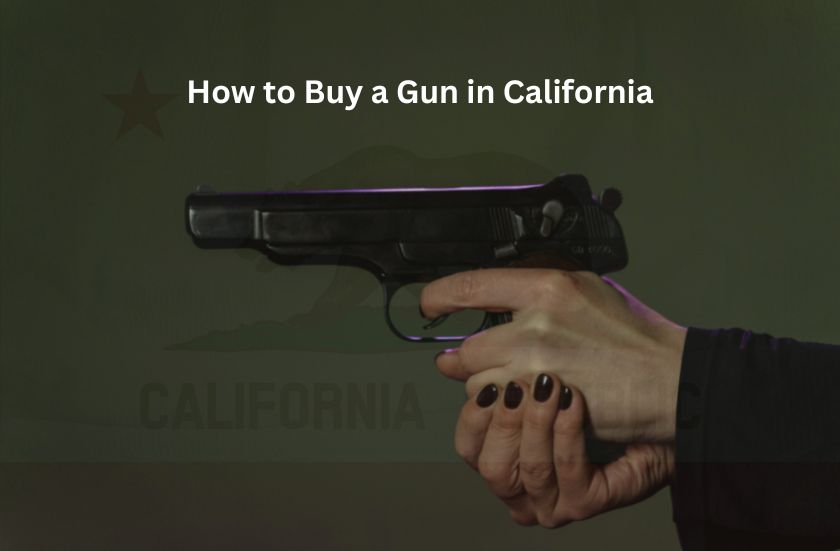 How to Buy a Gun in California - Rules & Where to Buy
