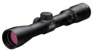 8 Best Fixed Power Scopes in 2023 [Best in the Market Reviewed]